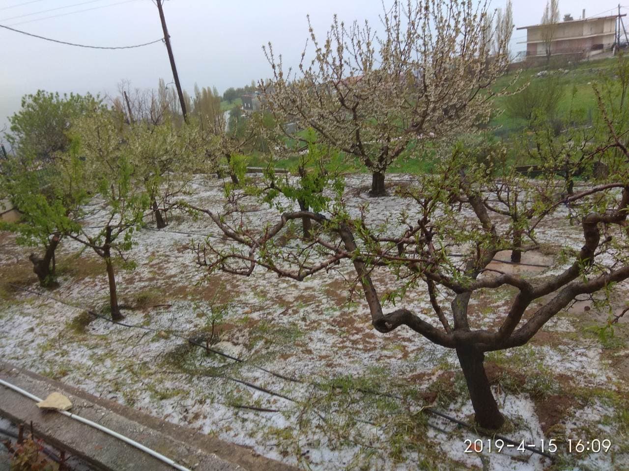 Ισχυρή χαλαζόπτωση έπληξε το Στεφάνι Κορινθίας (φώτο) - KorinthosTV