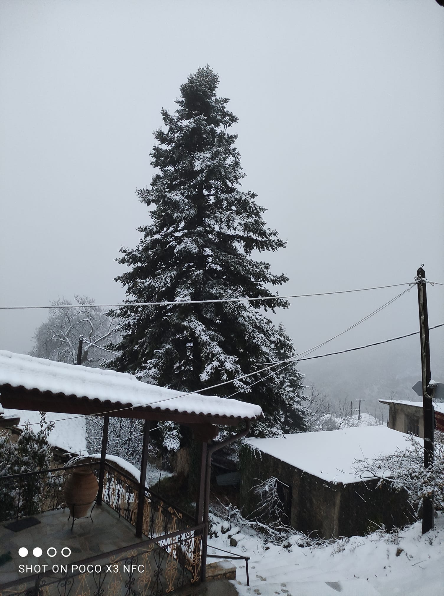 Χιονίζει στο Χιονοδρομικό Κέντρο Ζήρειας και στα Τρίκαλα Κορινθίας ...