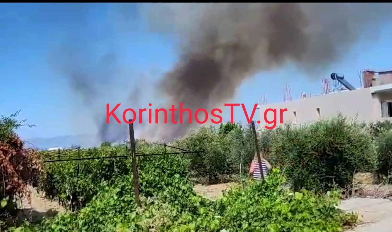 ΤΩΡΑ: Φωτιά στο Ζευγολατιό Κορινθίας (video) - KorinthosTV