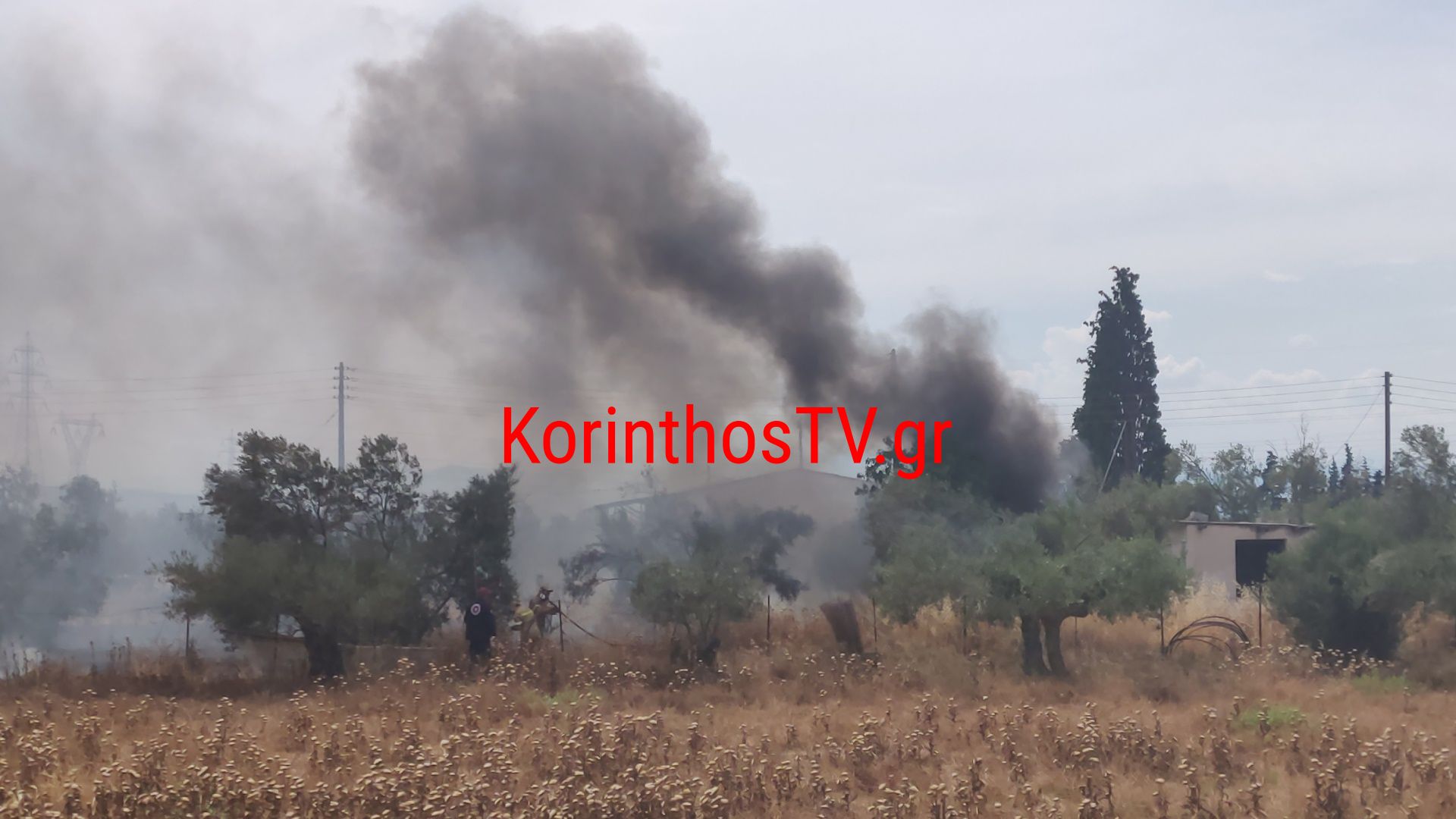 Φωτιά στην Κόρινθο απέναντι από τον προαστιακό (video-φώτο) - KorinthosTV