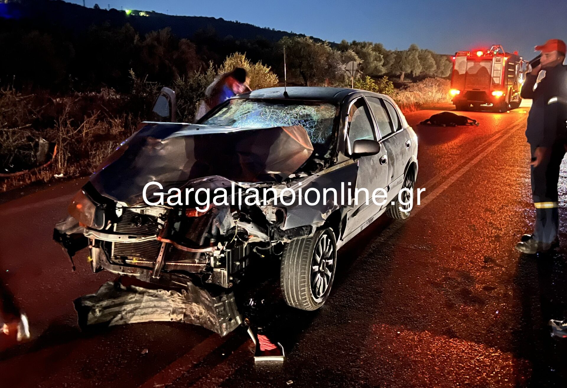 Μεσσηνία: Σφοδρή σύγκρουση ΙΧ οχήματος με άλογο (βίντεο) - KorinthosTV
