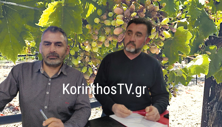Οικονομική στήριξη ζητούν οι παραγωγοί επιτραπέζιων σταφυλιών του ...