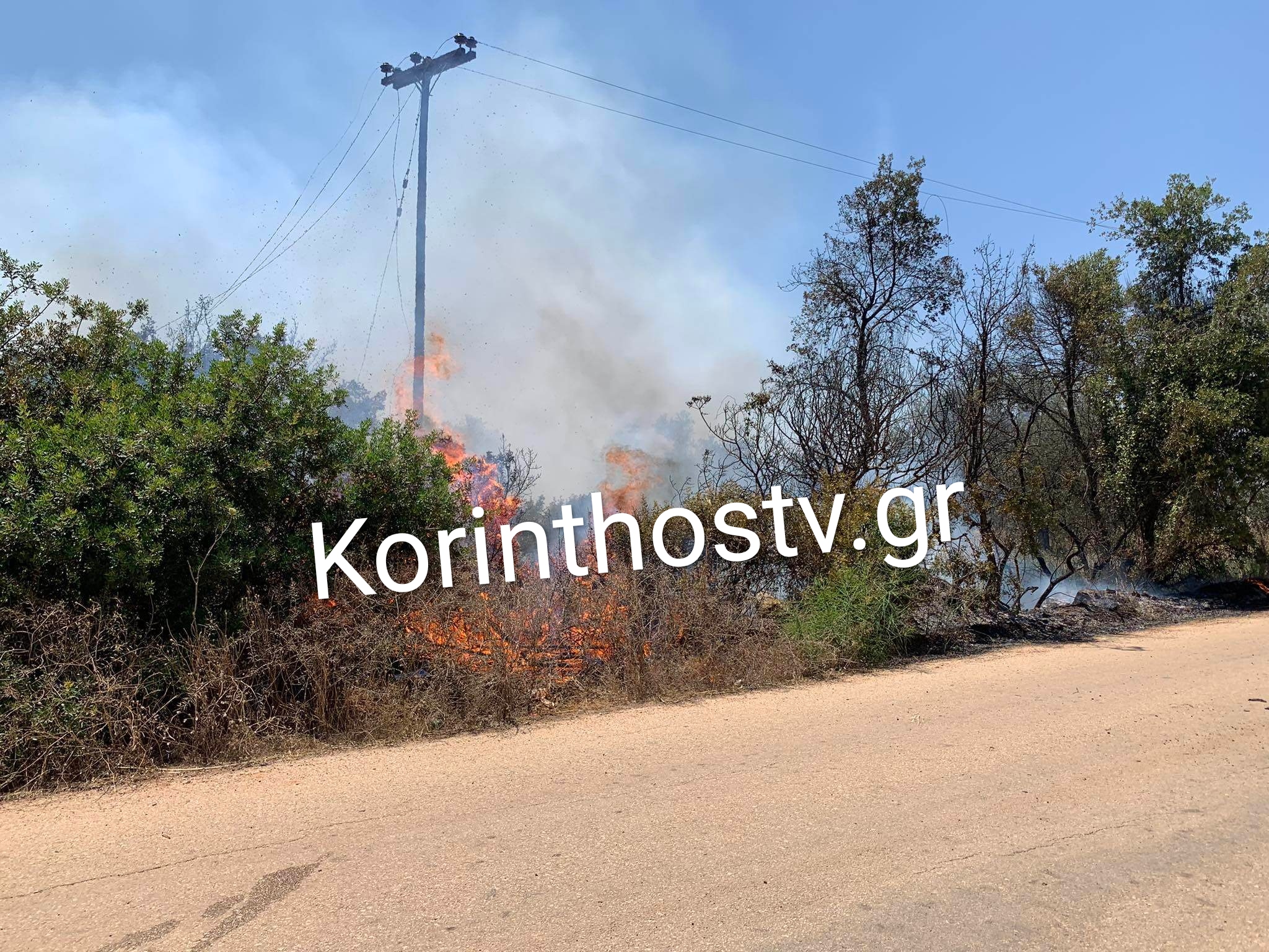 ΤΩΡΑ: Πυρκαγιά σε δασική έκταση στον Κουταλά (video-εικόνες) - KorinthosTV