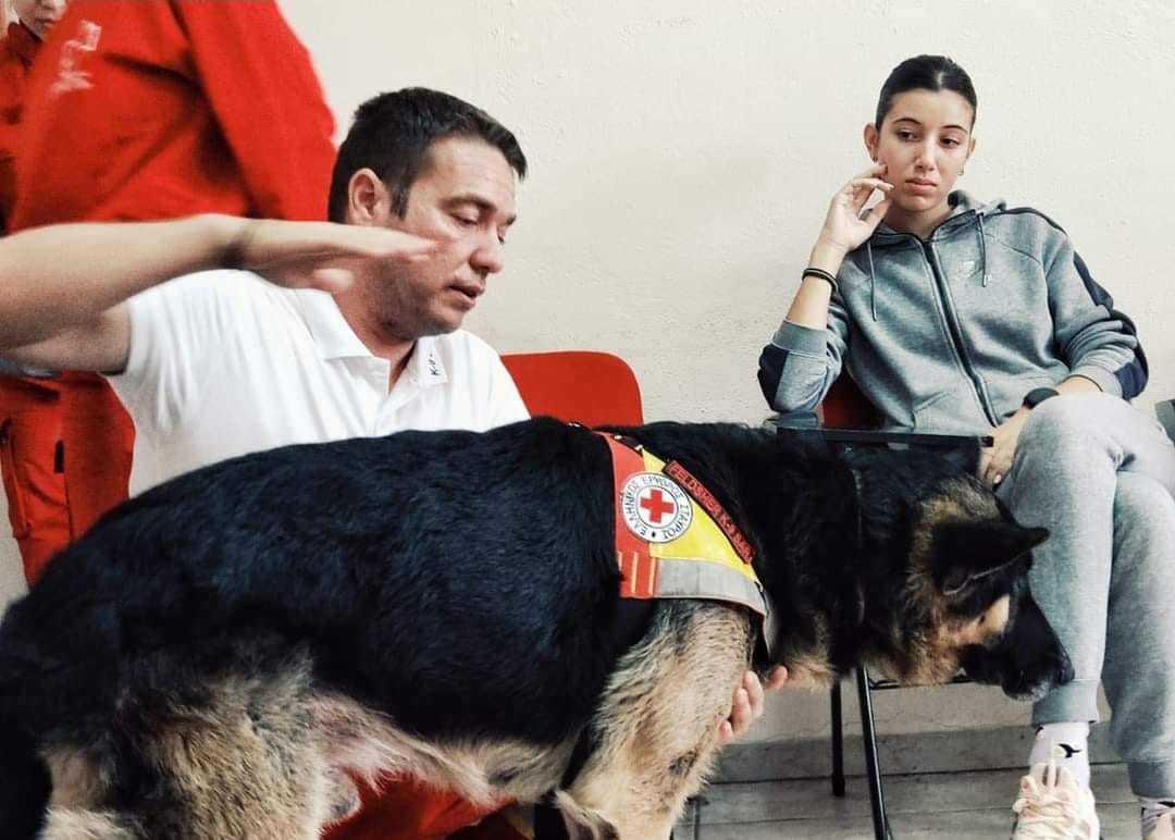 Ελληνικός Ερυθρός Σταυρός: Τεράστια η ανταπόκριση του κόσμου στα ...