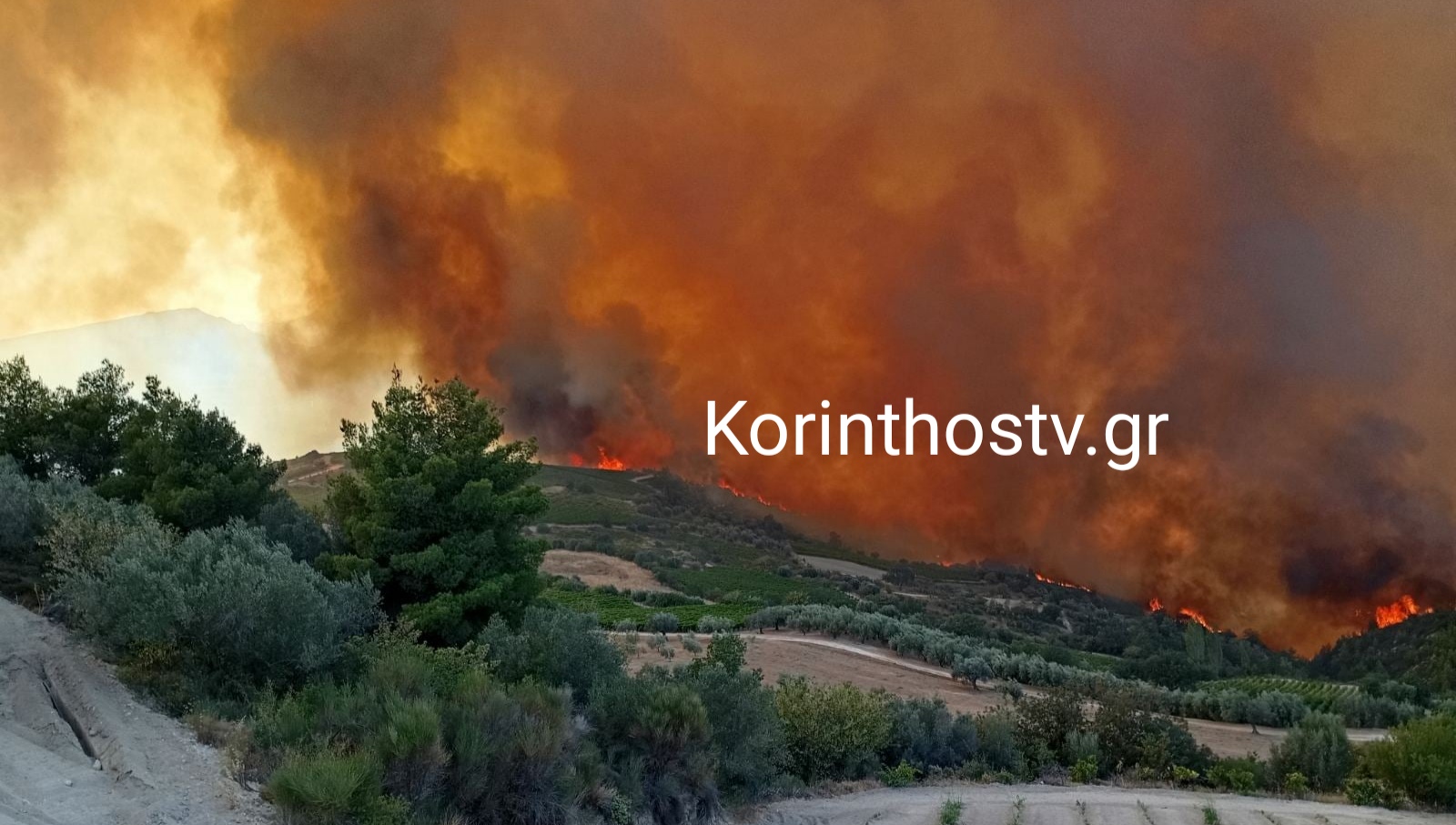 Φωτιά στην Κορινθία: Εκτός ελέγχου το πύρινο μέτωπο - Μάχη με τις ...