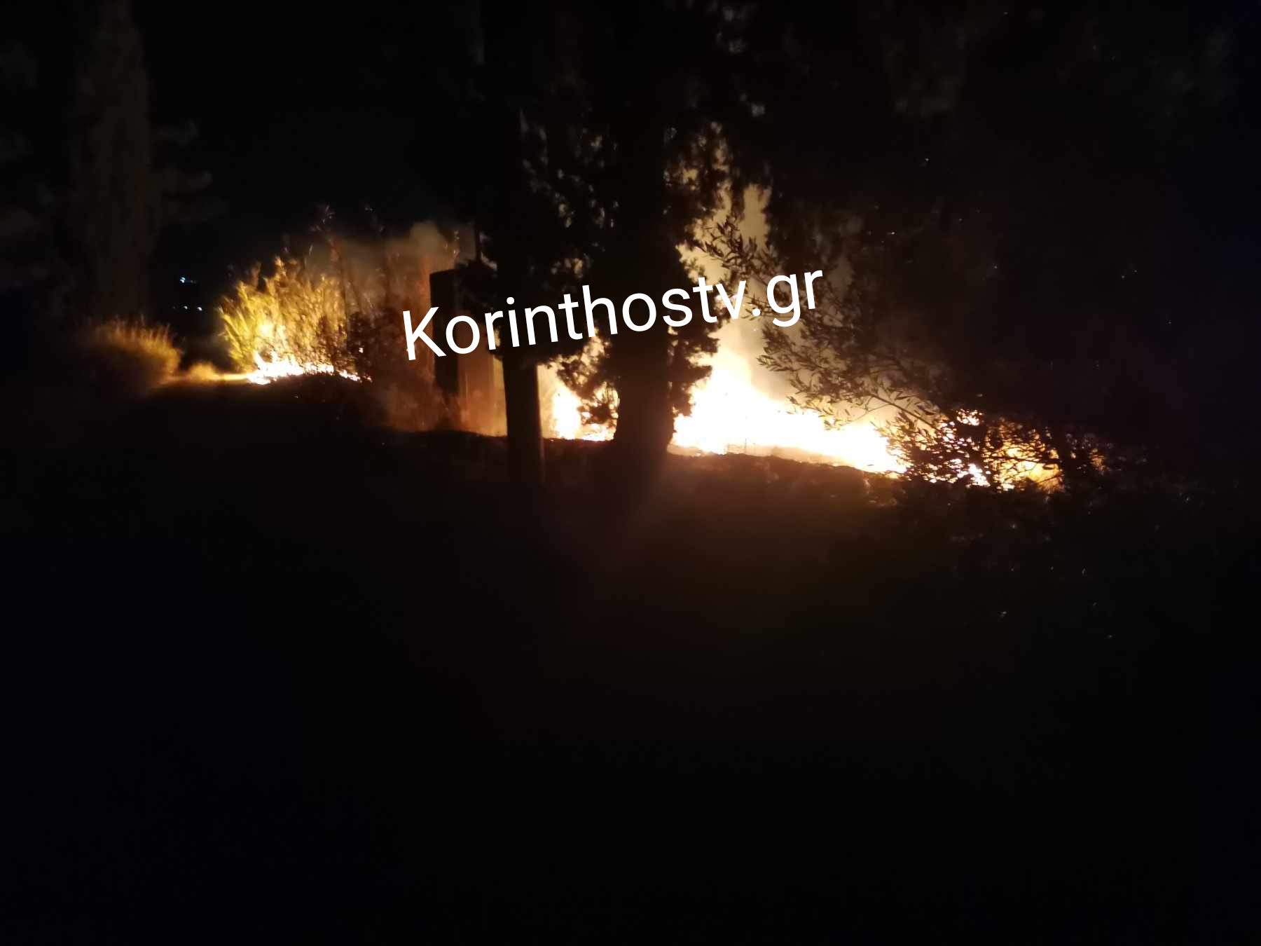 Κορινθία: Φωτιά ξέσπασε το βράδυ της Παρασκευής (26/7) στο Βέλο (φωτό ...