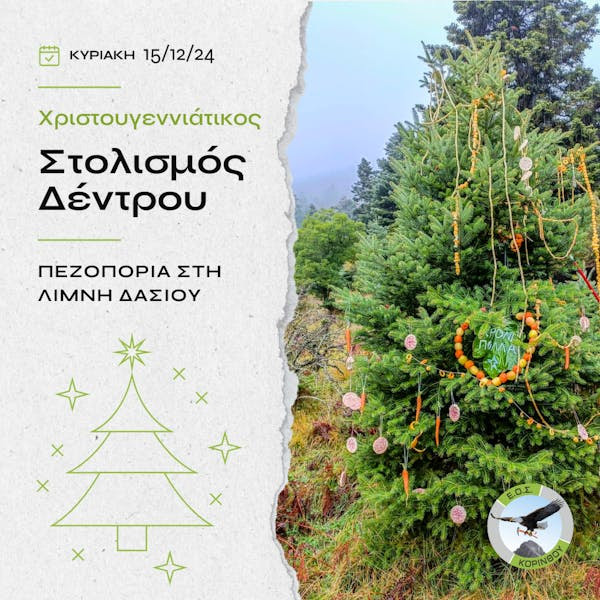 Στολισμός Χριστουγεννιάτικου Δέντρου και Πεζοπορία στη λίμνη Δασίου στη ...